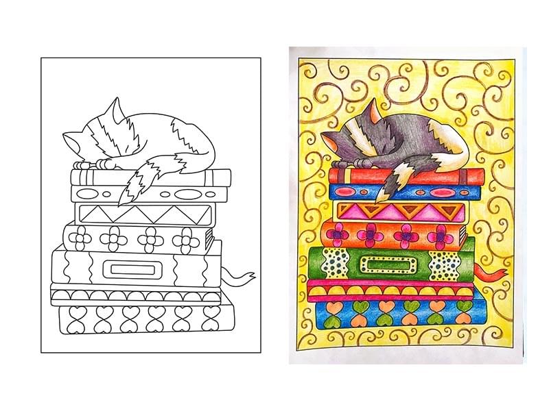 Sally Belly Coloring Books | Sweet Home